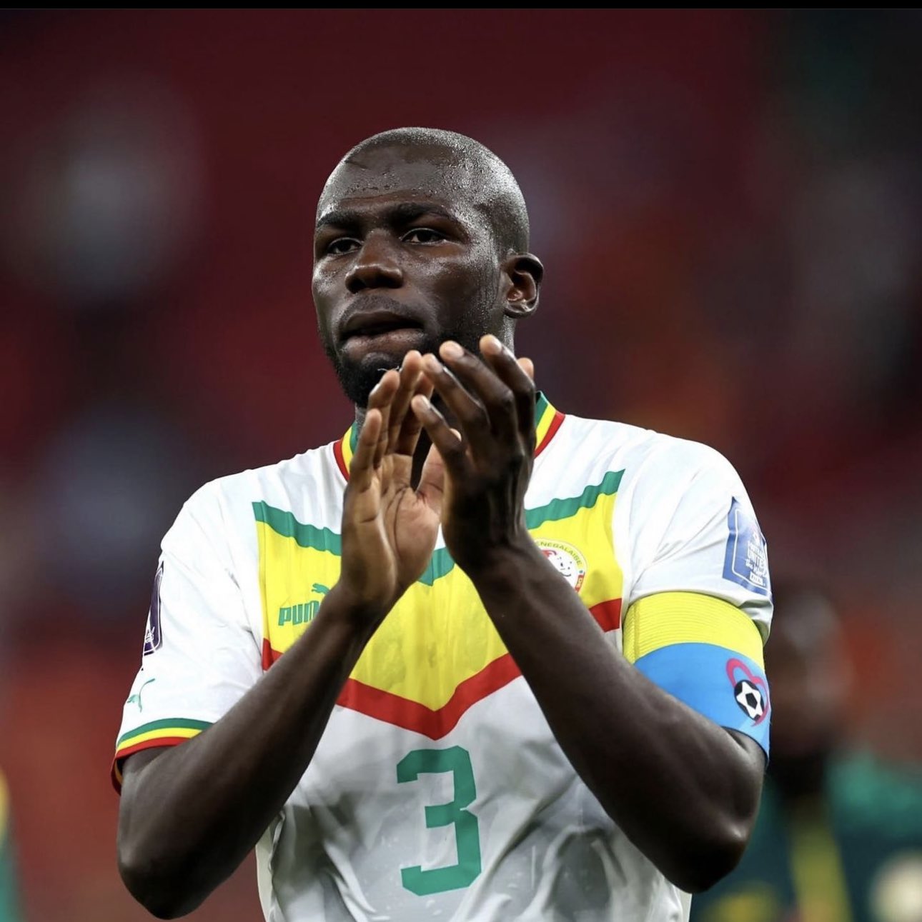 World Cup: Koulibaly Demands More From Senegal Young Players - Africa ...