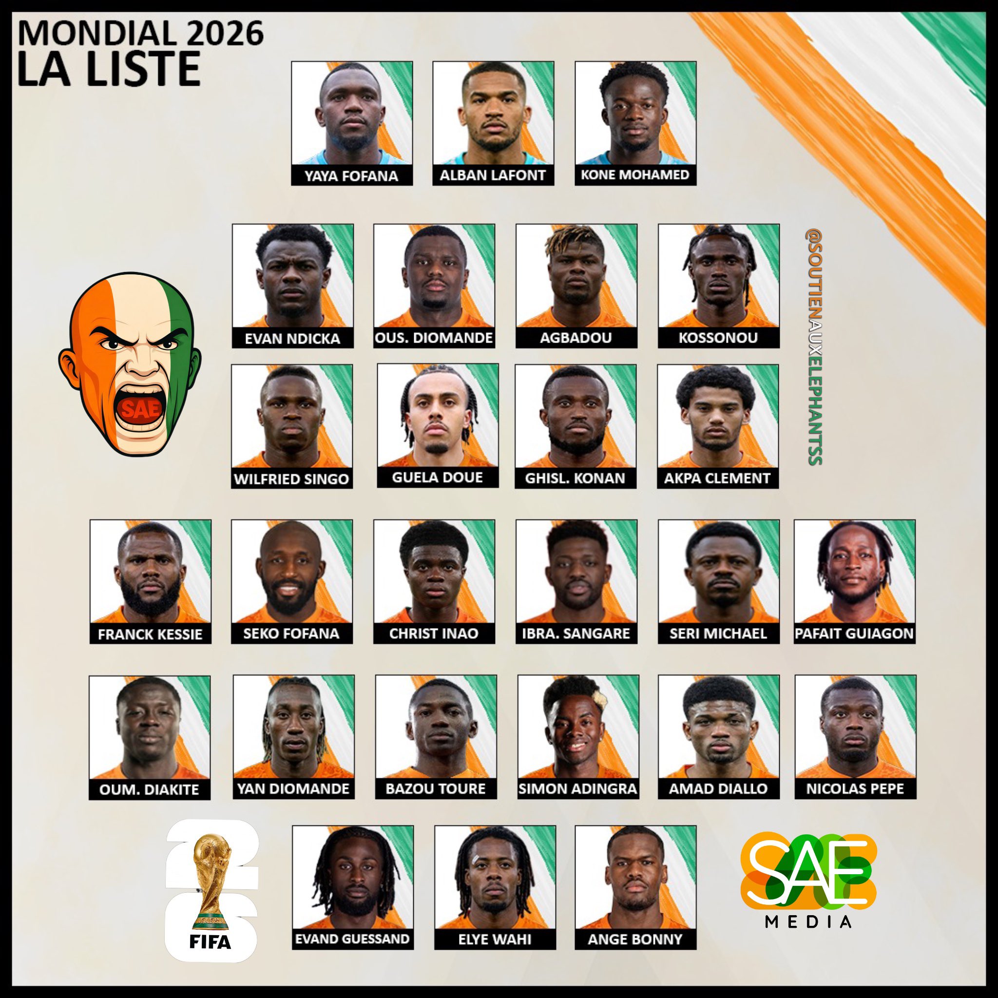 FIFA World Cup: Ivory Coast Announce Final Squad