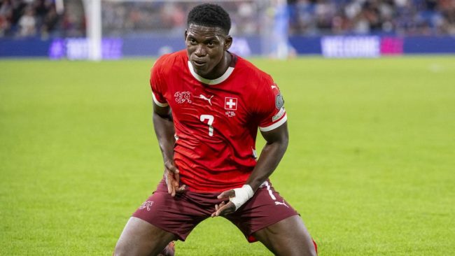 World Cup 2026 : Switzerland unveils its squad for the competition
